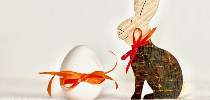 Why Do Rabbits Stomp? 6 Awesome Reasons To Know! - PetCosset